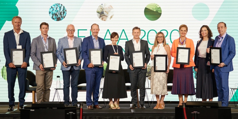 Group Photography, Examples, Tips, Techniques