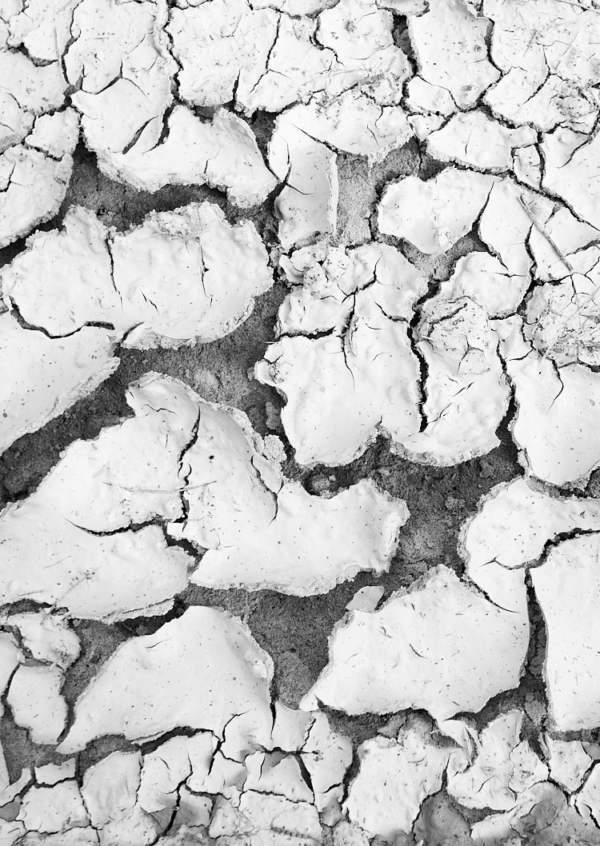 Detailed Natural Light photography Tips for Beginners