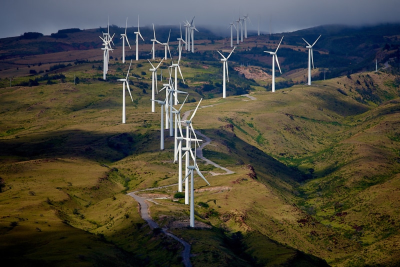 Detailed Natural Light photography Tips for Beginners